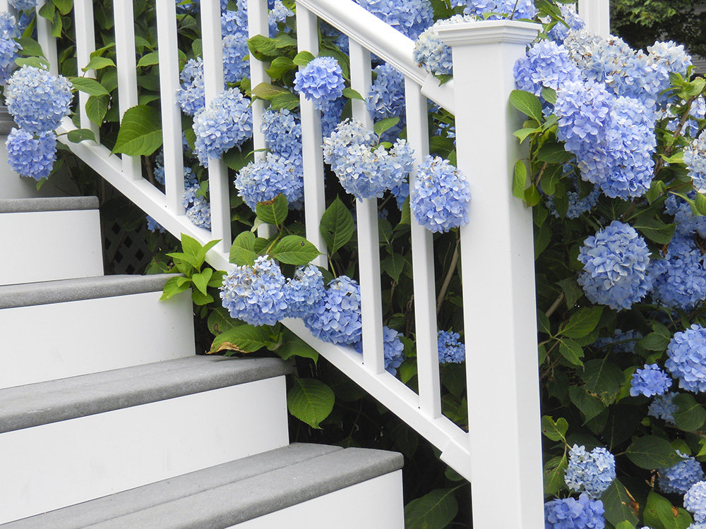RDI Titan Pro Rail Vinyl Railing Code Documentation - Amerhart
